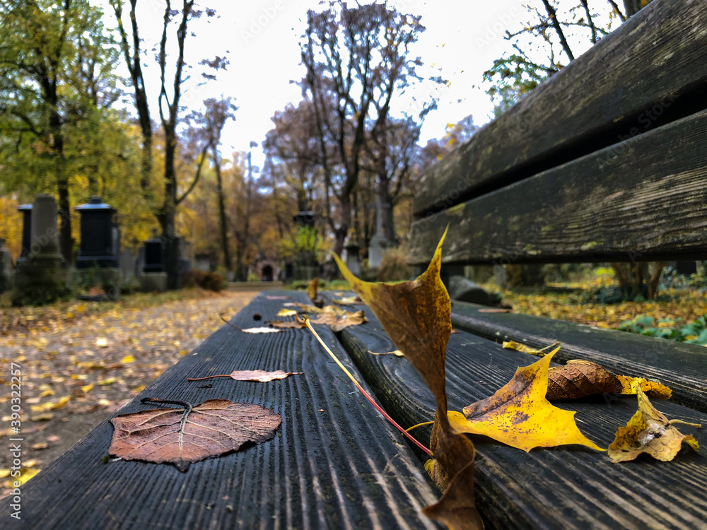 Beautiful cemetary or graveyard Südfriedhof Sudfriedhof in Munich ...