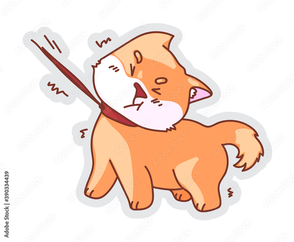 Dog refuse. Cute puppy dog on leash refuse to go for walk isolated on ...