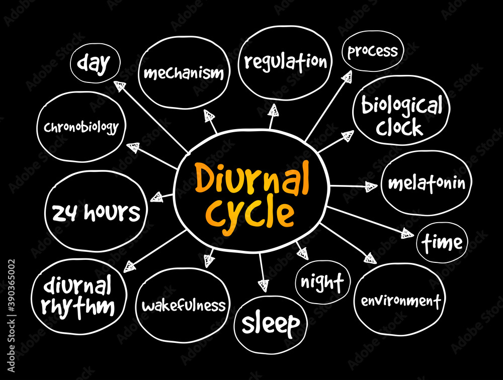 Diurnal cycle mind map, concept for presentations and reports Stock ...
