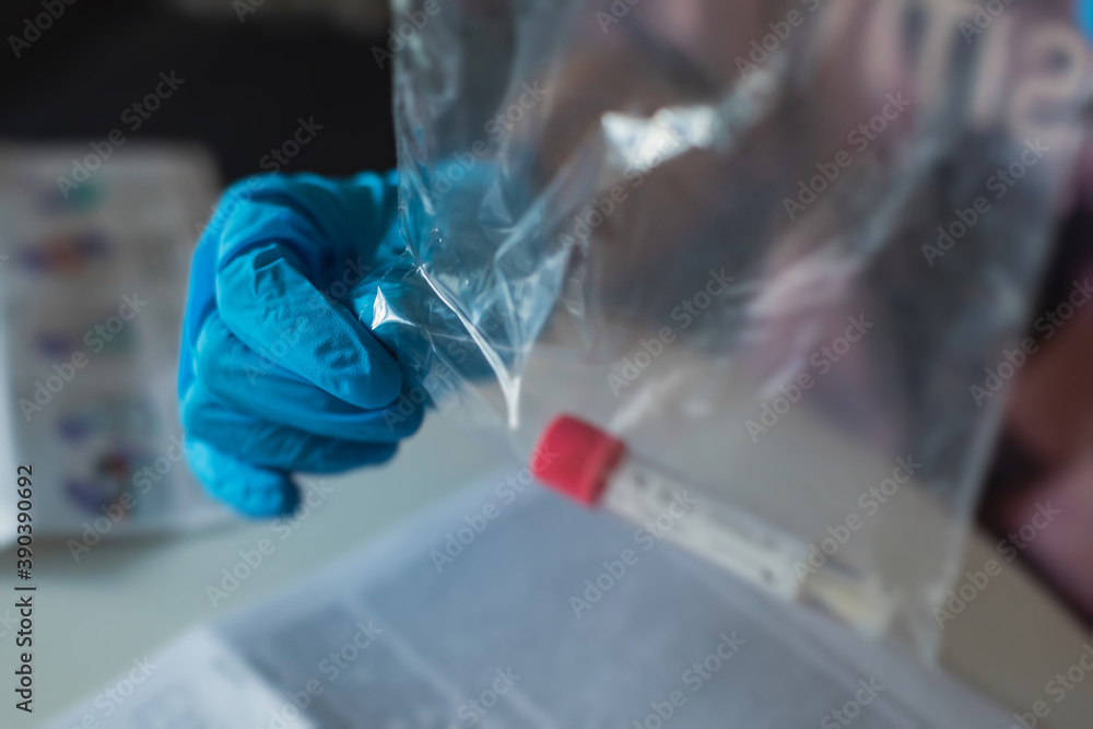 Process of coronavirus testing examination at home, COVID-19 swab ...