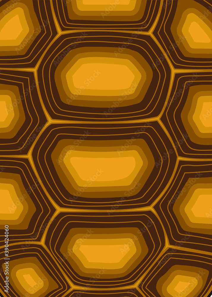 Vector illustration patterns, sulcata, indian star tortoise shell, turtle shell seamless ...