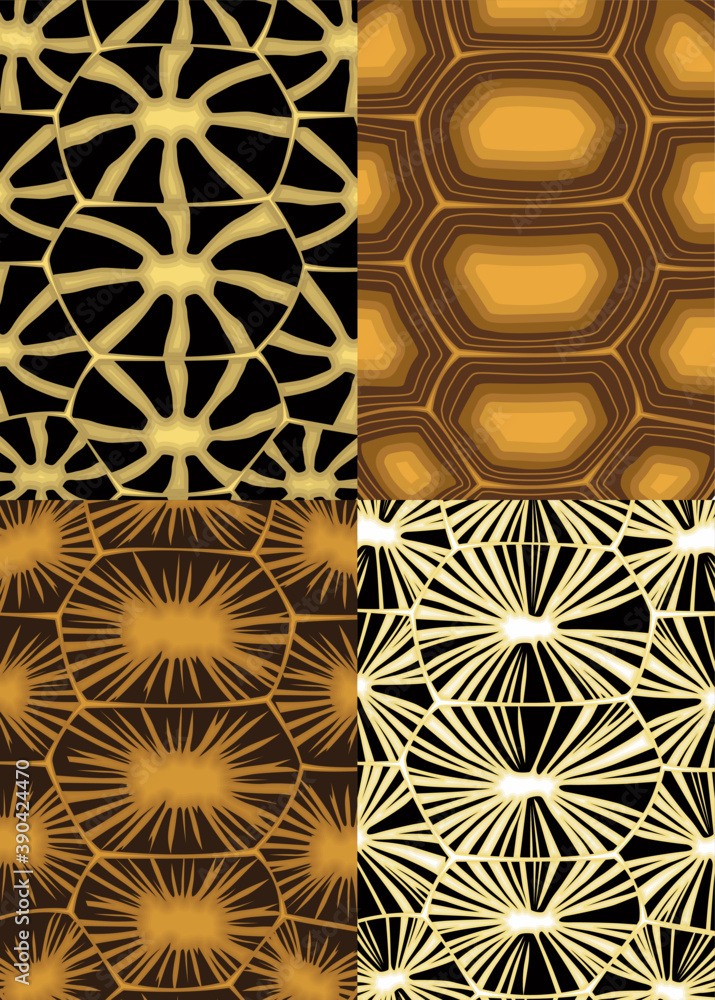 Vector illustration set of four different seamless tortoise shell ...