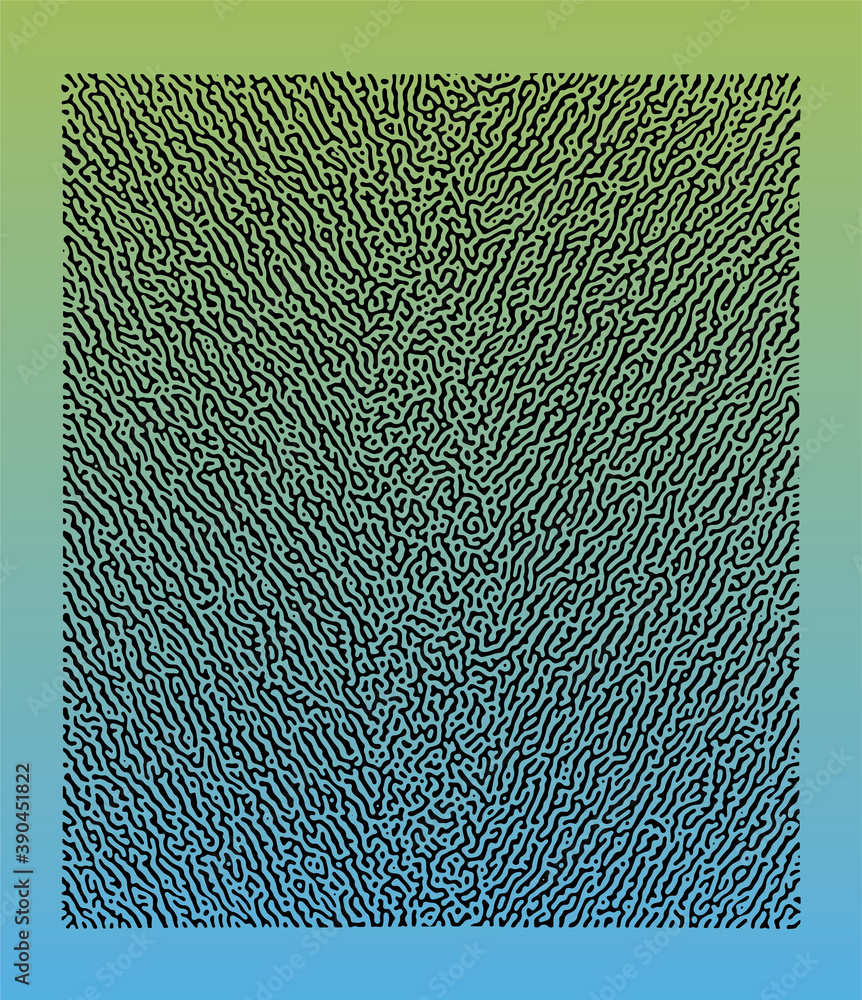 Reaction Diffusion Or Turning Pattern Vector Design Caused By Reaction Diffusion System Similar