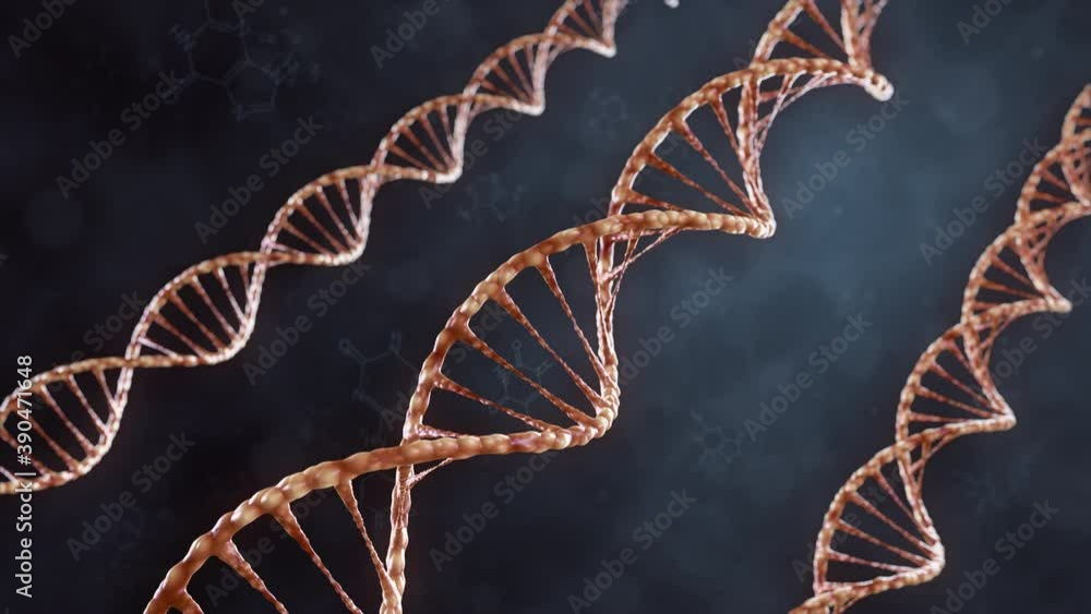DNA double helix 3D animation. Human DNA spiral with adenine, thymine ...