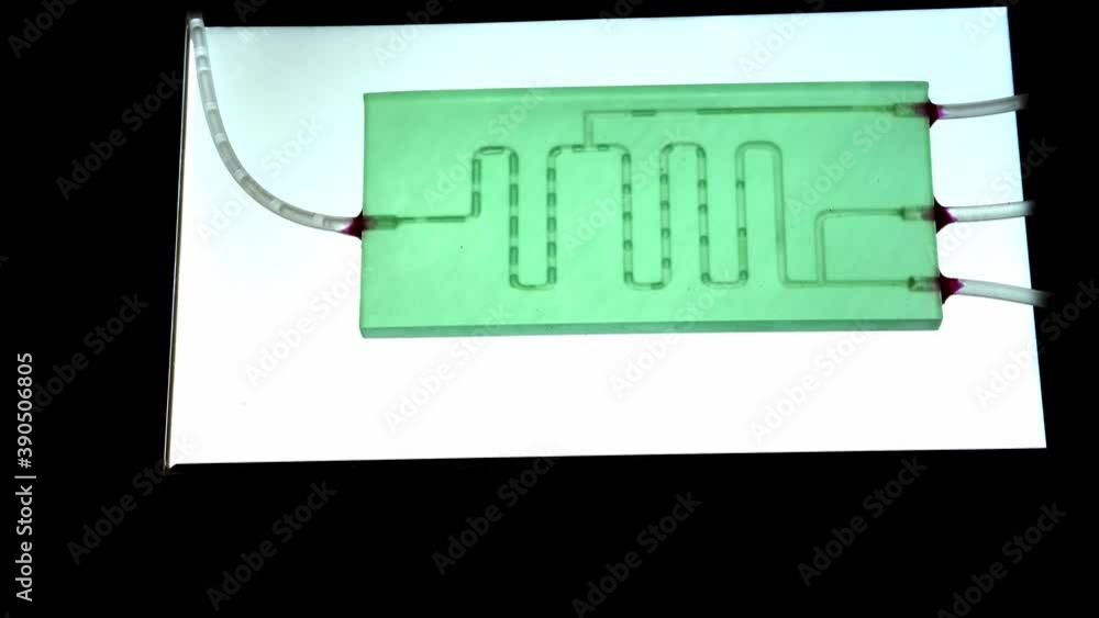 Organ-on-a-chip (OOC) - microfluidic device chip that simulates ...