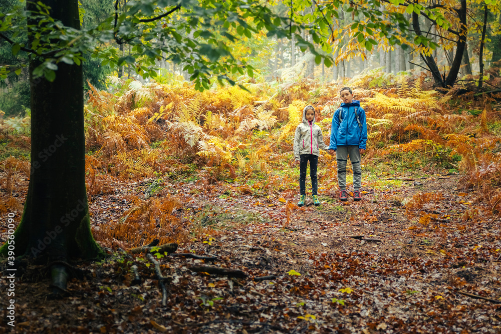 Children exploring the nature. Happy kids playing in the forest. Stock ...