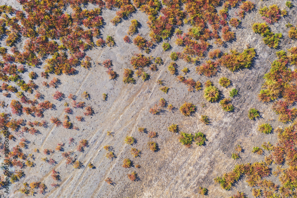 Abstract nature background. Top view of a dry estuary with plants. Land ...