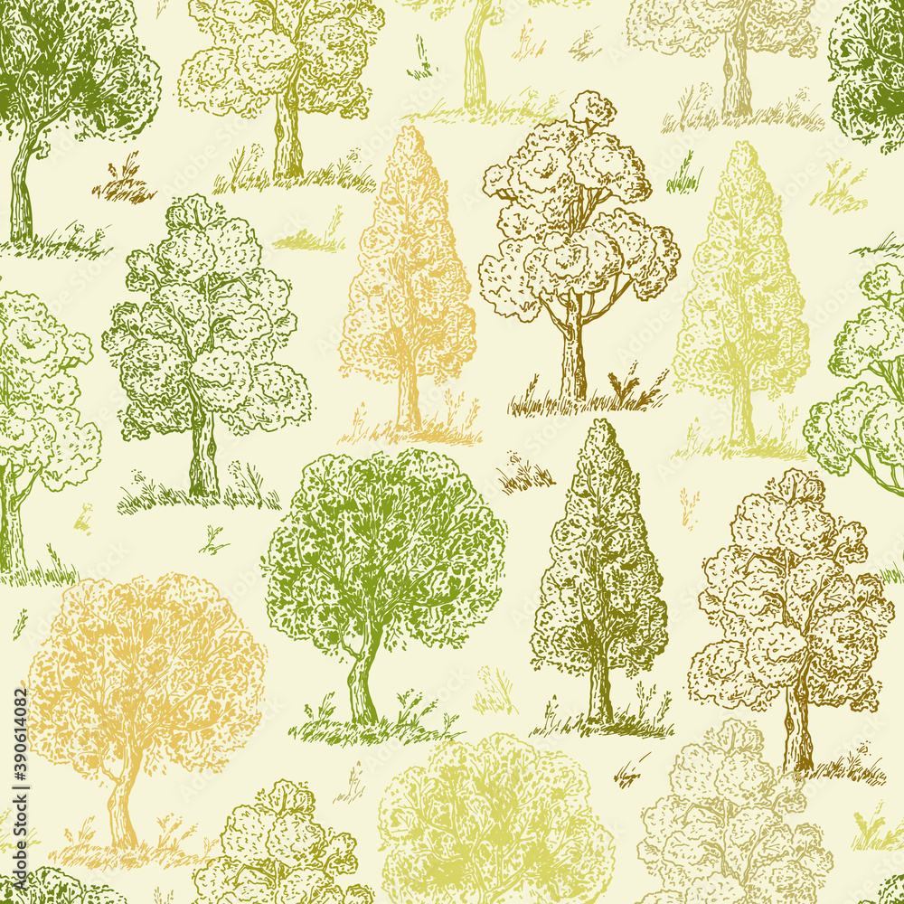 Forest background. Deciduous Trees Seamless pattern. Hand Drawn Tree ...