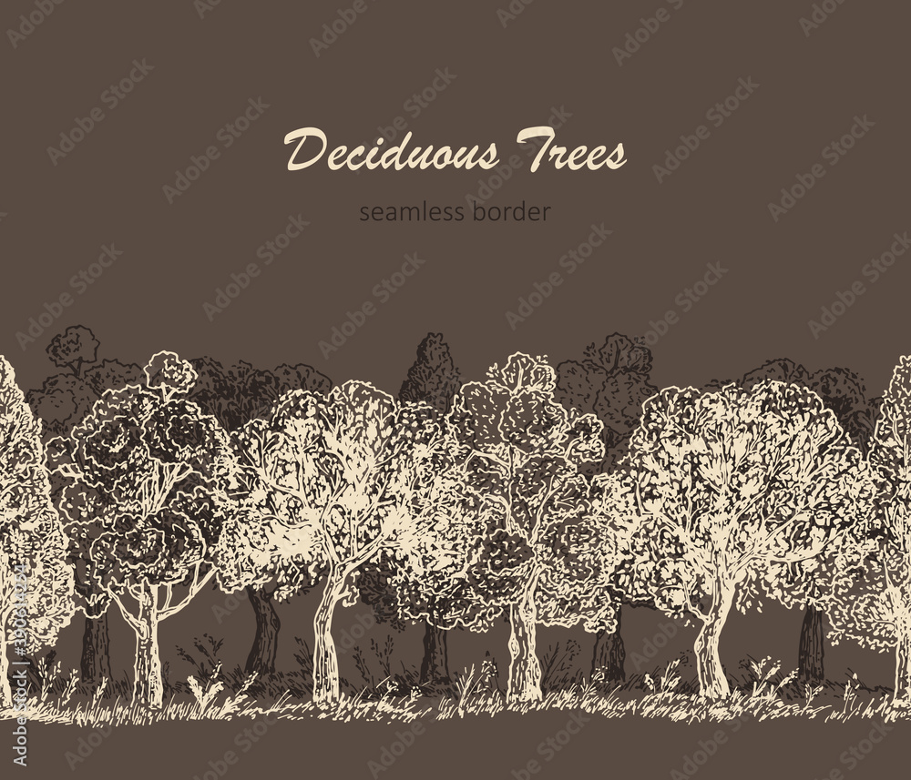 Deciduous Trees Horizontal Seamless Border. Hand Drawn Tree Sketch. Ink ...