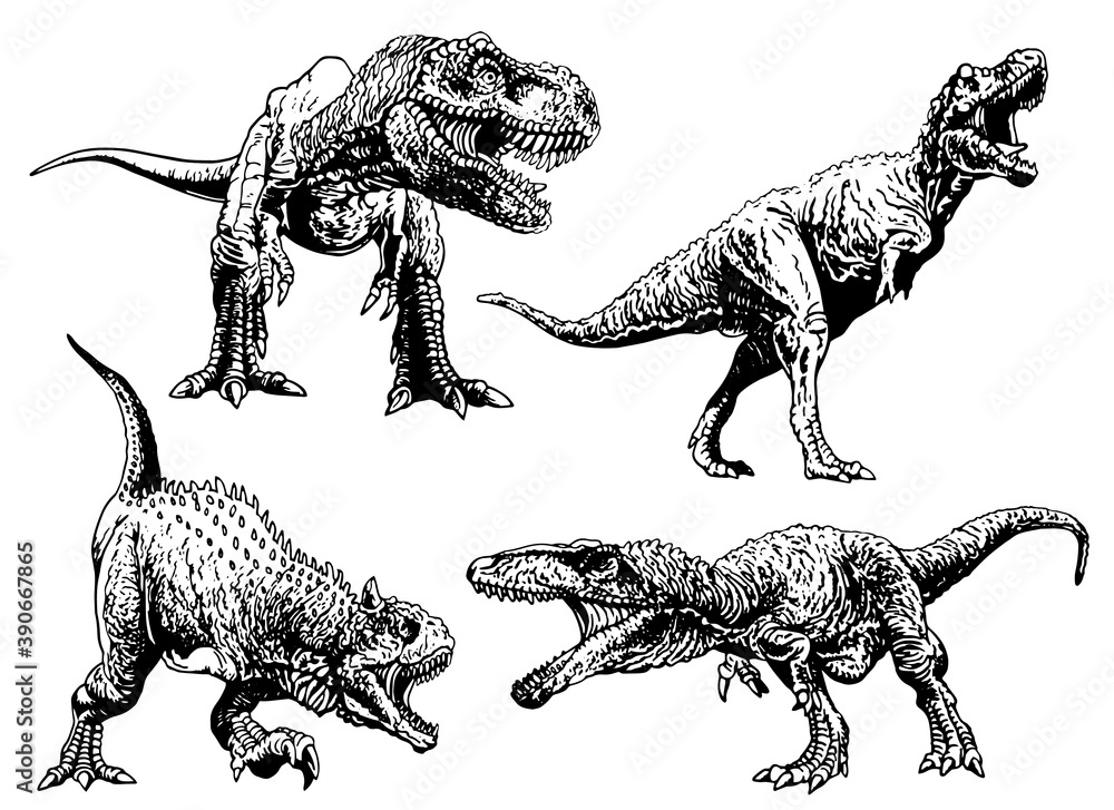 Graphical set of dinosaurs isolated on white background, vector ...