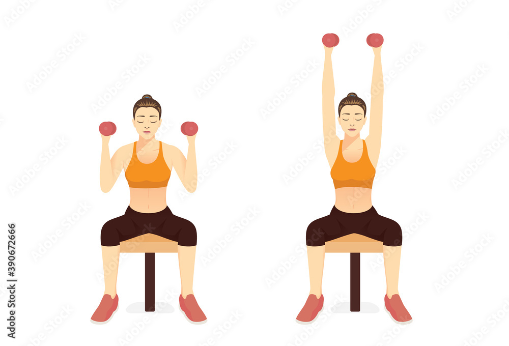 Women doing Seated Dumbbell Shoulder Press on bench. Illustration about ...