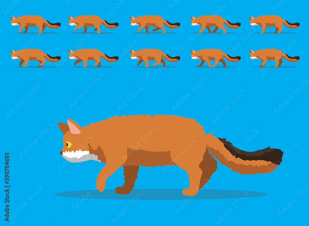 Animal Animation Sequence Cat Somali Cartoon Vector Stock Vector ...