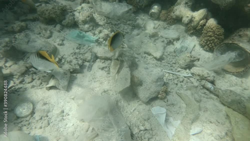 Seabed covered plastic and other trash, a school of tropical fish of ...