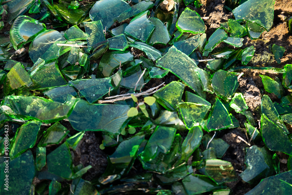 Shards of crushed emerald green glass bottles on black lava rock and ...