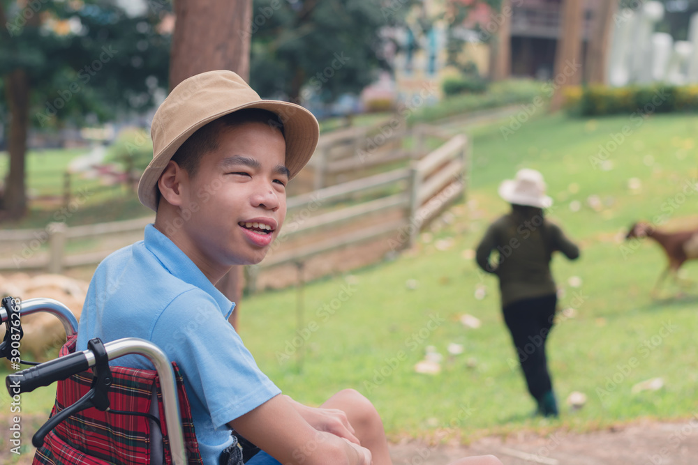 Asian disabled child on wheelchair smiling in the sheep farm,Boy very ...