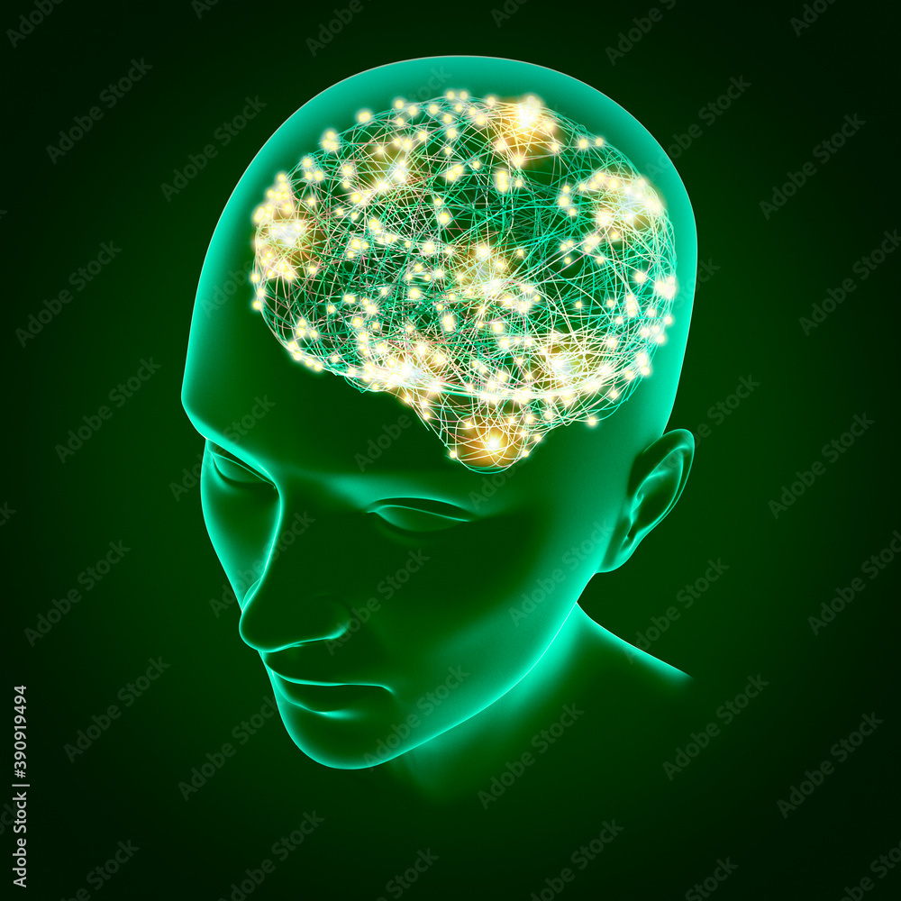 Brain Synapses In Children