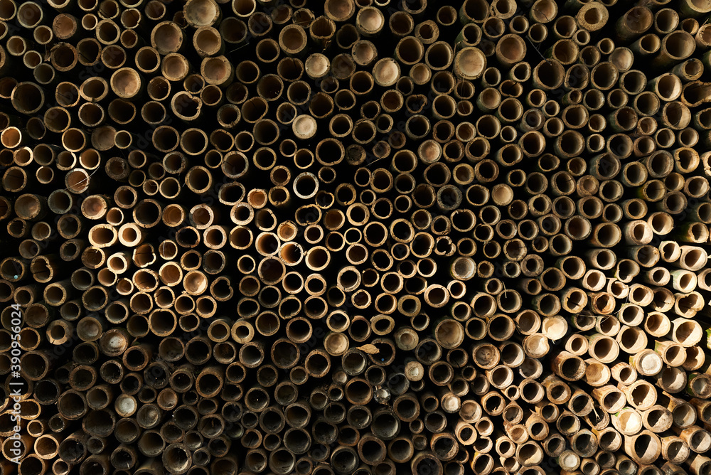 Bamboo abstract background. Pile of bamboo pole. Stack of round timber ...