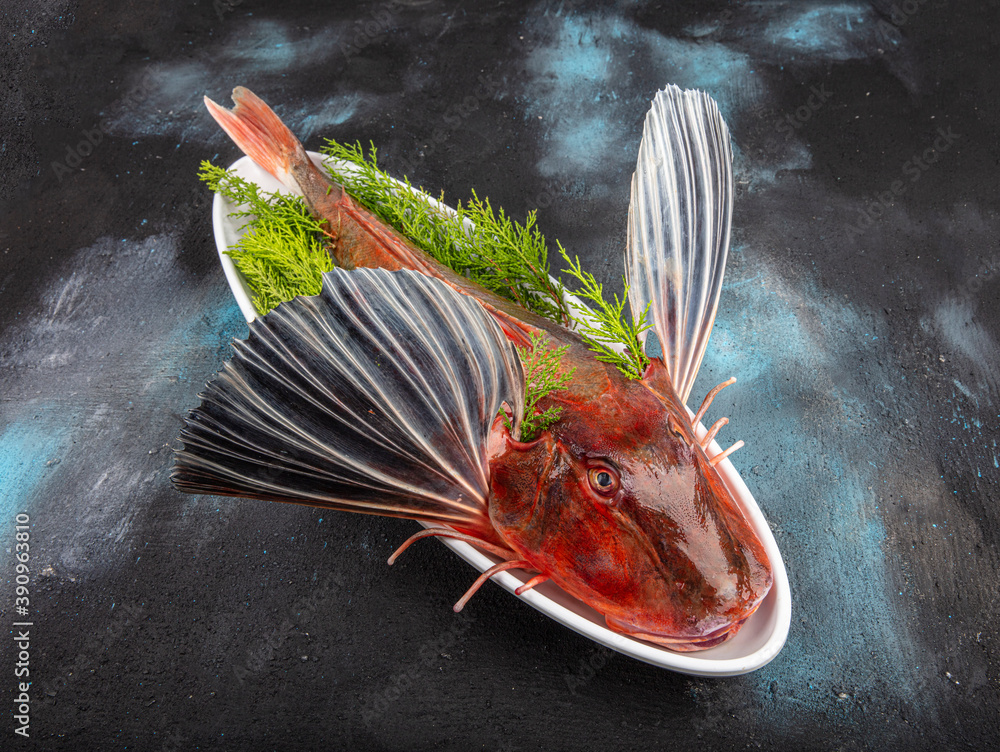 Tub gurnard (Red gurnard) fish on a white plate on black stone ...