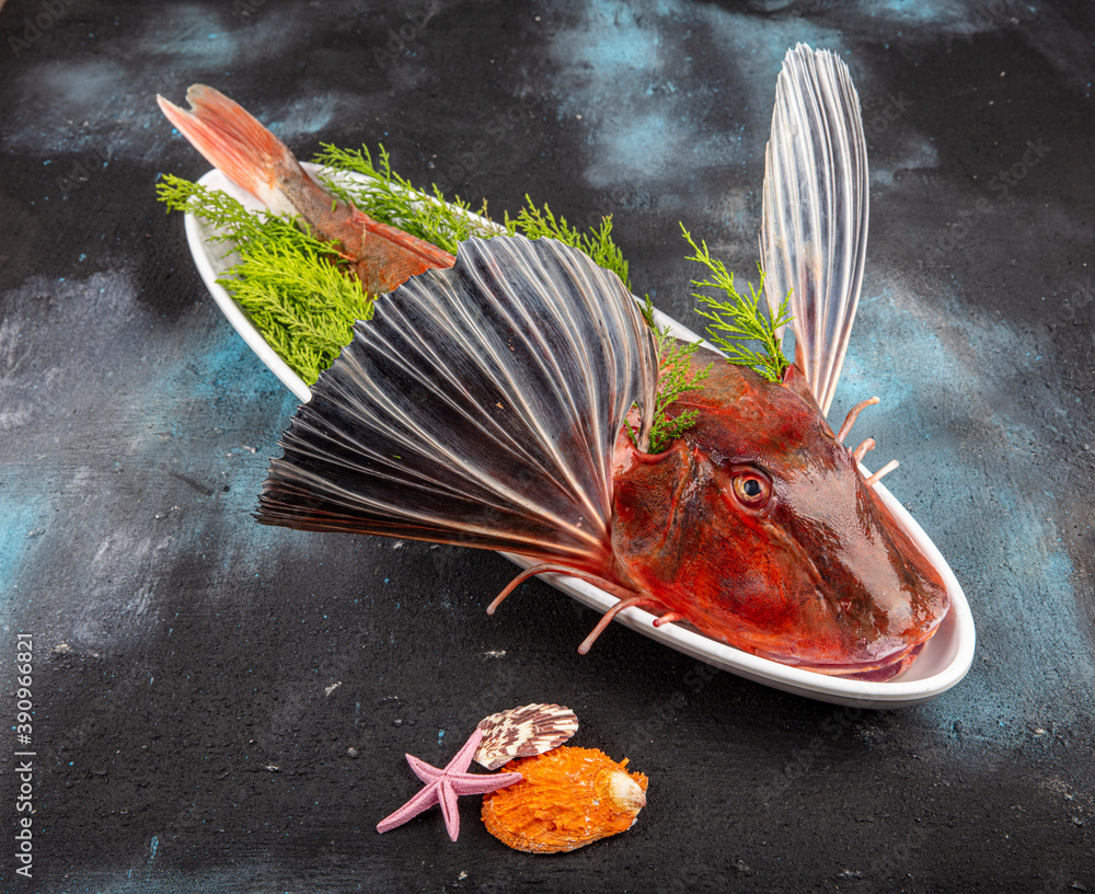 Tub gurnard (Red gurnard) fish on a white plate on black stone ...