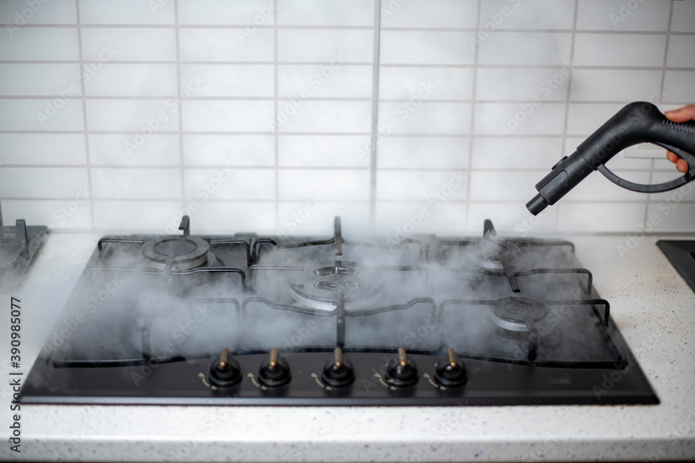 steam disinfection and sanitization of the house, steam treatment of ...