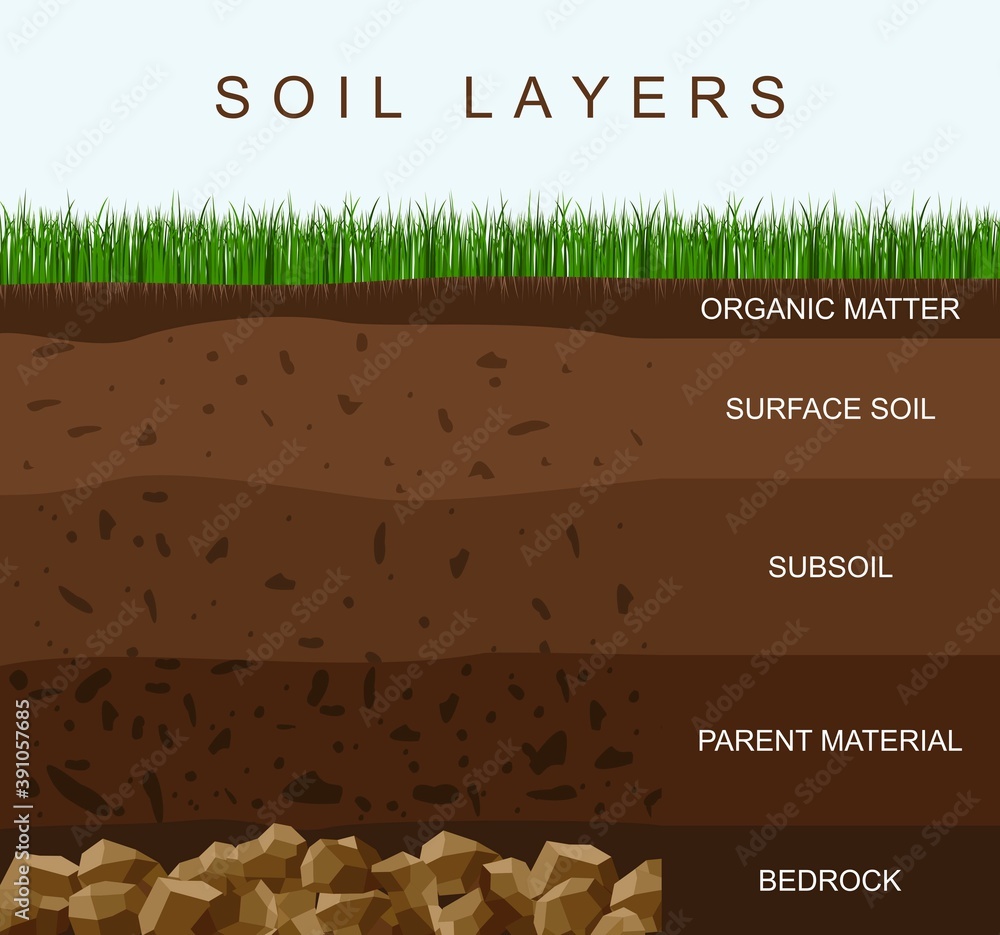 Soil layers diagram earth texture, stones. Ground with green grass on ...