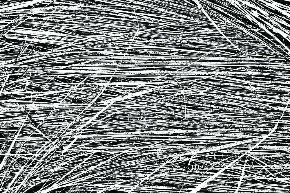 Grunge texture of tall, decayed autumn grass. Withered grass, straw ...