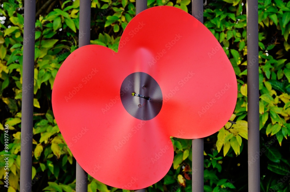 Red poppy. Remembrance day. Lest we forget. World War I. Tomb of the ...