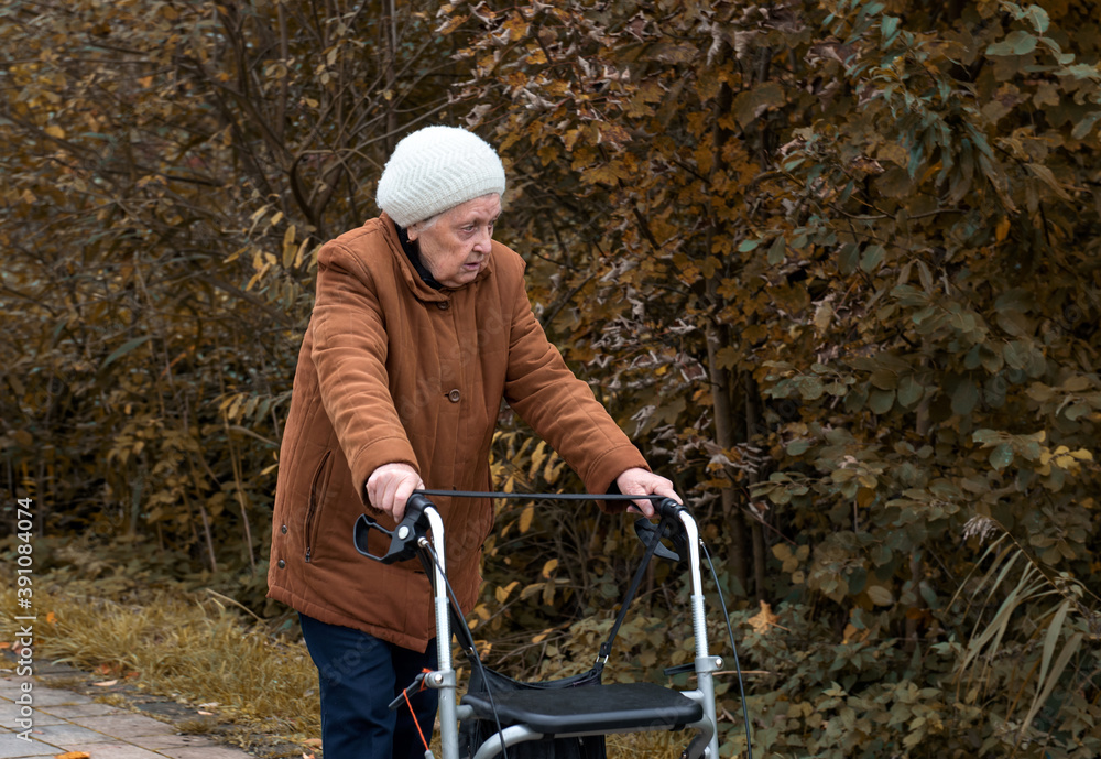 Elderly woman taking a walk in autumn with walker aid to enjoy fresh ...