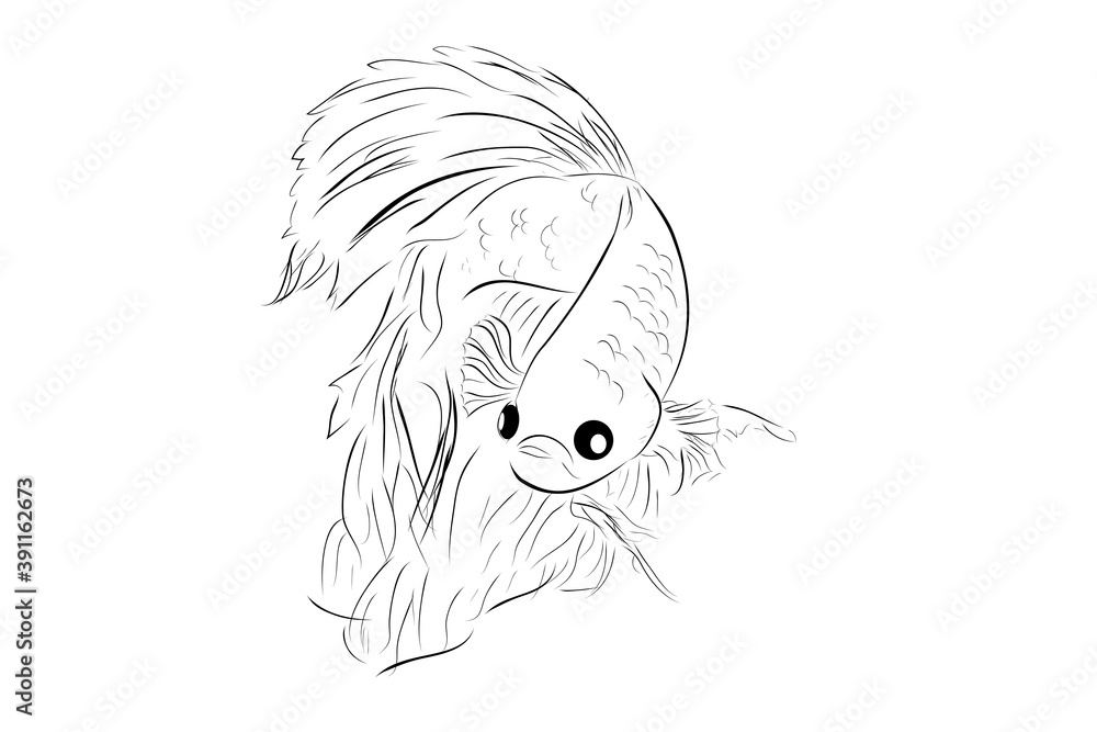 Simple Outline Vector Betta or siamese fighting fish, Giant Half Moon ...