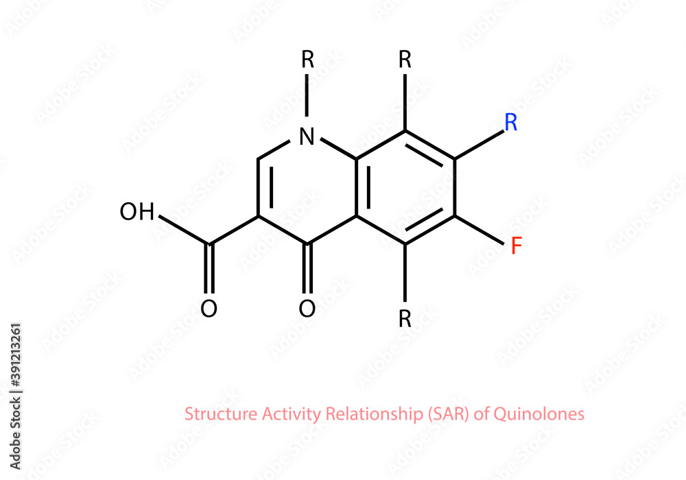 structural activity relation ship quinolones chemical structure vector ...