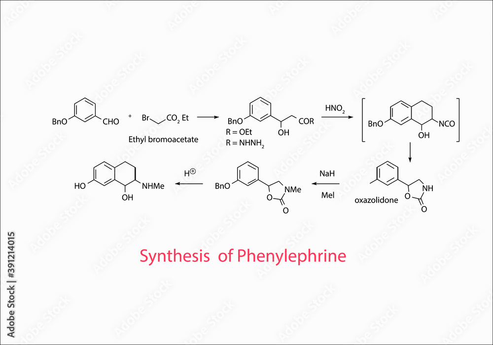synthesis of phenylephrine vector design illustration Stock Vector ...