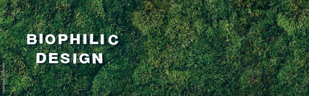 Biophilic design - white letters on green moss, grass background. Top ...