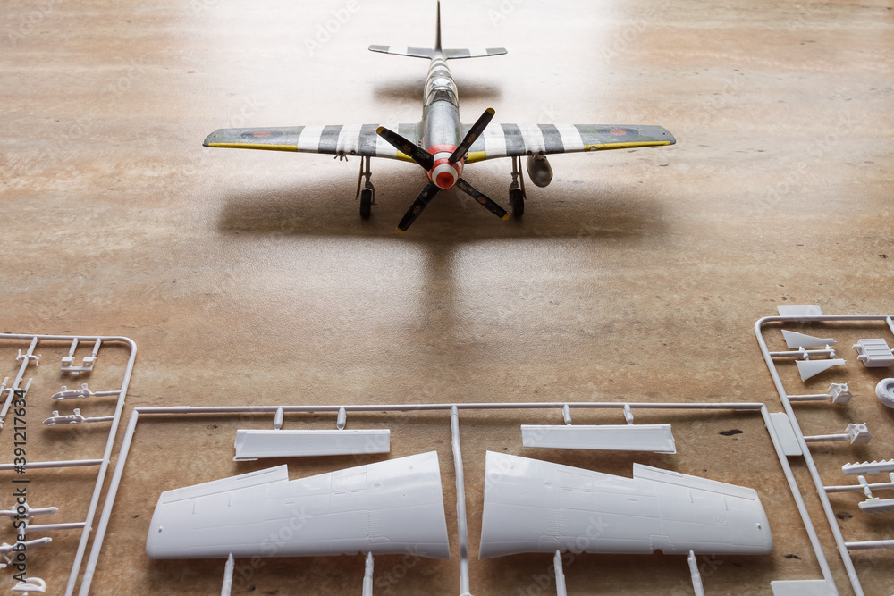 Scale model of the airplane fighter with details. Plastic assembly kit ...