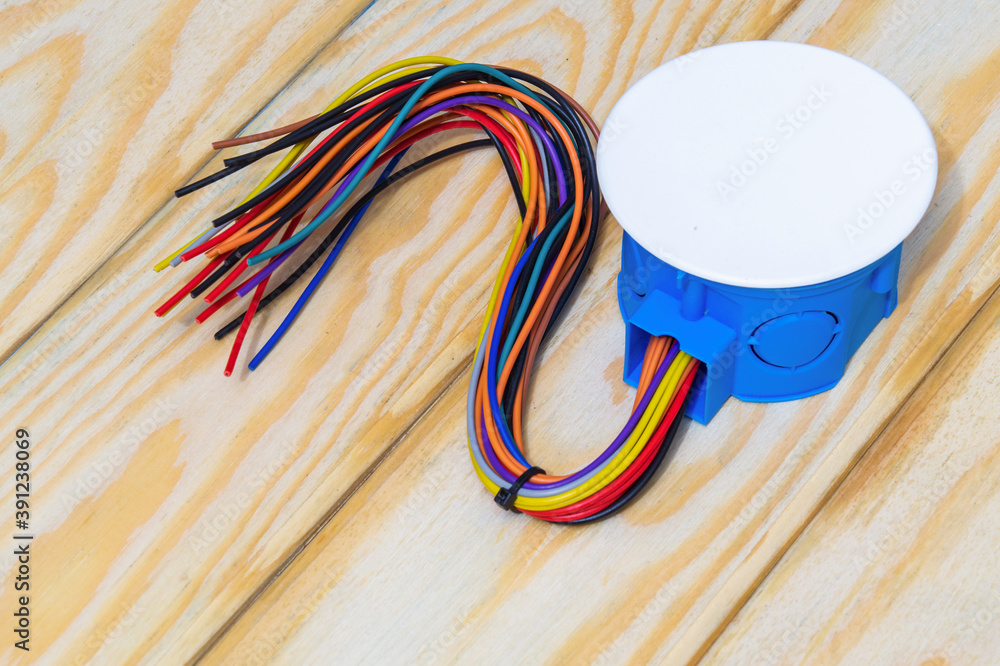 Electrical junction box with wires usually used in the electric ...