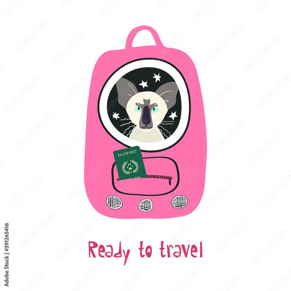 Oriental cat in pet carrier backpack with space background and shuttle ...