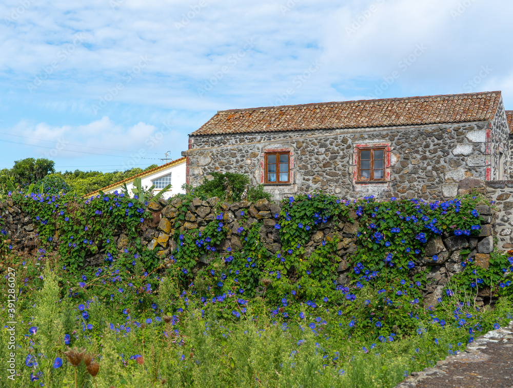 Azores, Graciosa Island, typical farm house built of lava stones. Stock ...