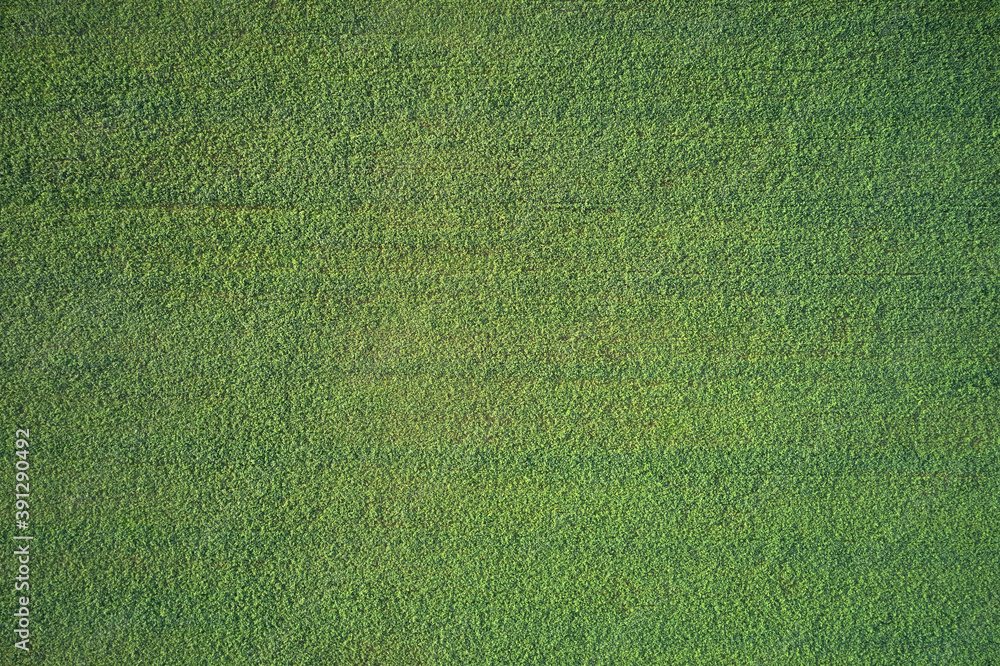 Aerial view of a grass plantation. Green grass soccer field background ...