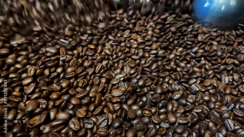 Production of fresh fried coffee beans roasting factory process ...