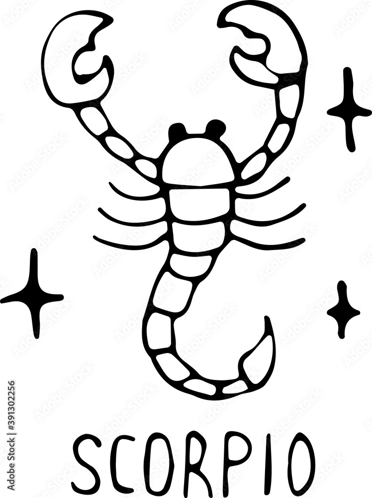 Vector illustration of the zodiac sign Scorpio in the power of Doodle ...