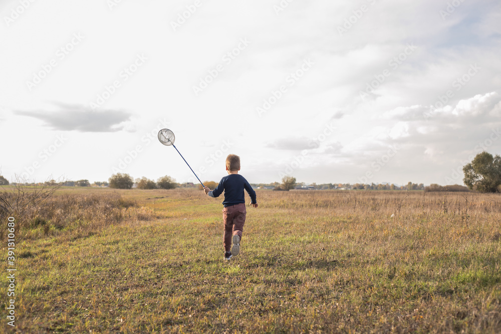 Young boy with butterfly net walking meadow. Child playing catching ...