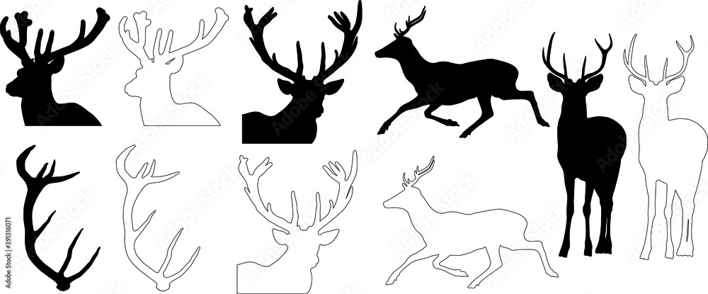 silhouette and outline of Red Deer (Cervus elaphus), vector on white ...