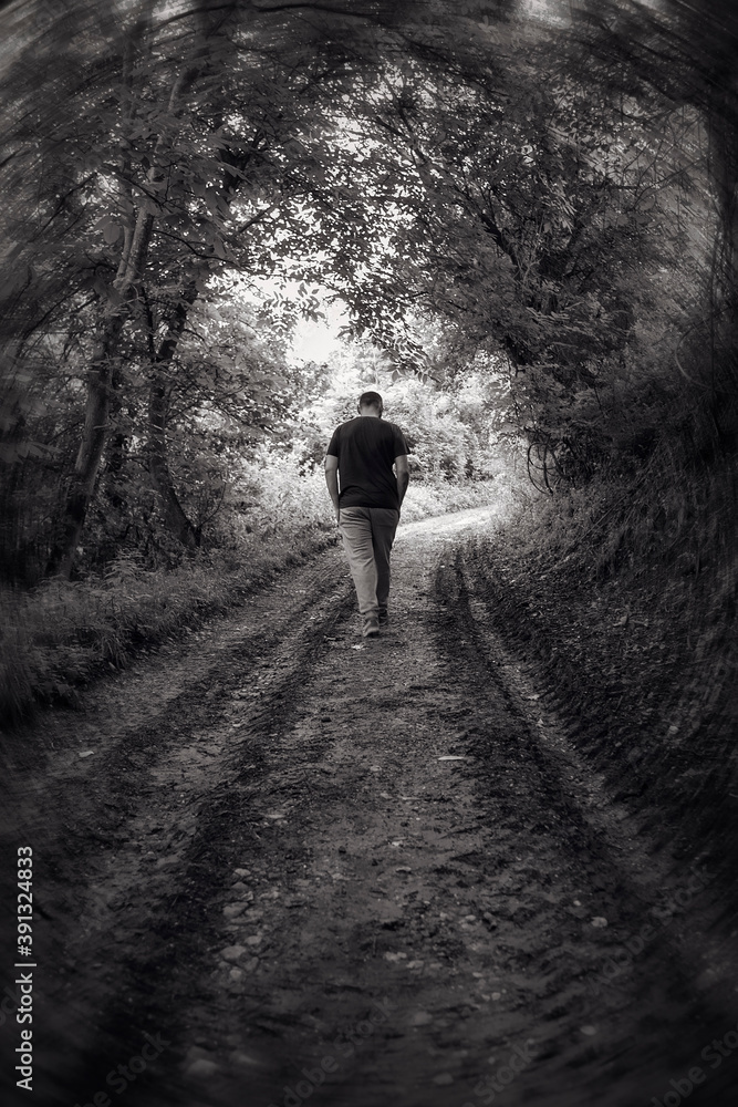 Back view of a man walking on a path through the forest. Vertical image ...