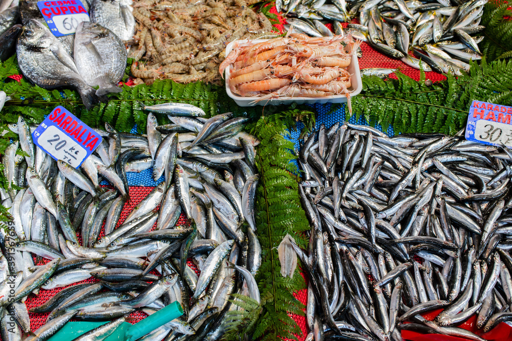 Fish market in Istanbul - Turkey Stock Photo | Adobe Stock