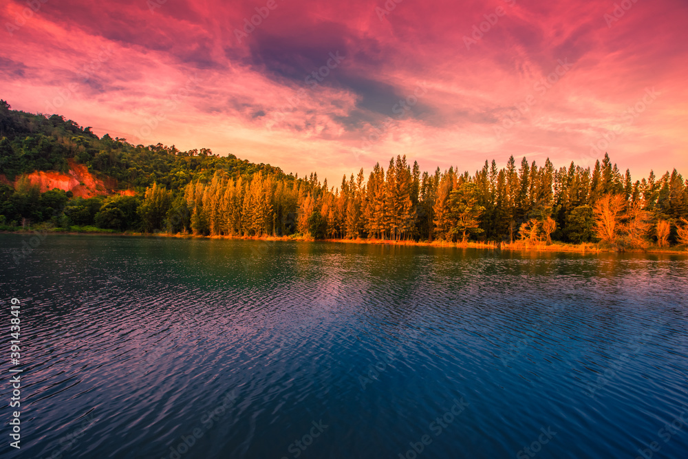 Foto de Blurred nature background view of naturally occurring trees and ...