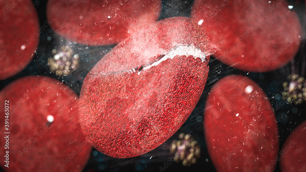 Red Blood Cells anemia concept red blood cells tearing braking with ...
