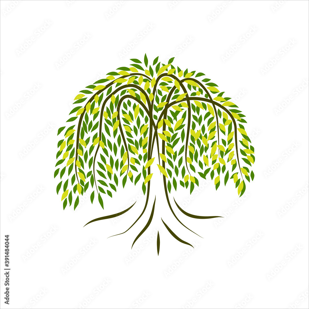 Willow Tree Landscape With circle shape Vector Nature Stock Vector ...