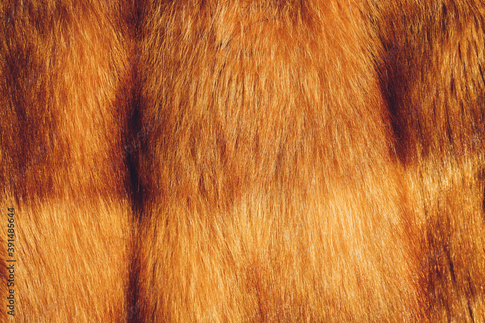 Textures red fox fur. Red fox shaggy fur texture cloth abstract, furry ...