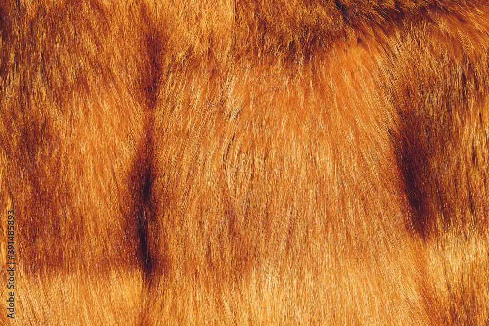 Textures red fox fur. Red fox shaggy fur texture cloth abstract, furry ...