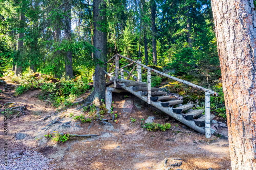 Hiking trails and wooden bridges in Monrepos Park on a warm summer day ...