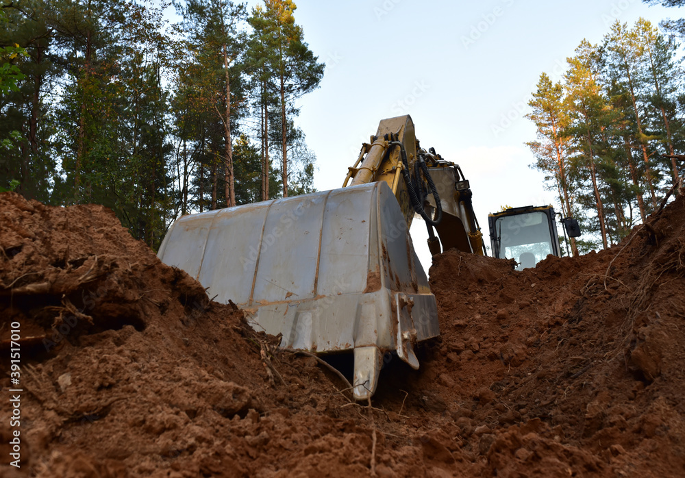 Excavator clearing forest for new development and road work. Backhoe ...